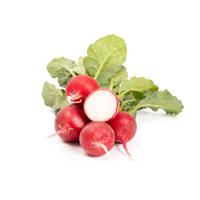 Vegetable seeds | Rijk Zwaan