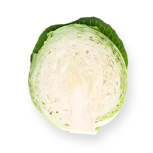 ORIEMA RZ F1 | White cabbage | Vegetable seeds | Rijk Zwaan