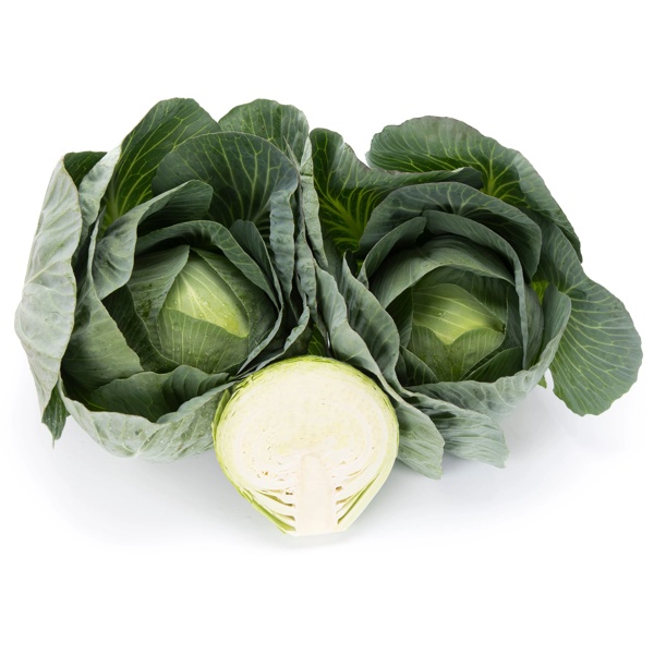 LONGMA RZ F1 | White cabbage | Vegetable seeds | Rijk Zwaan