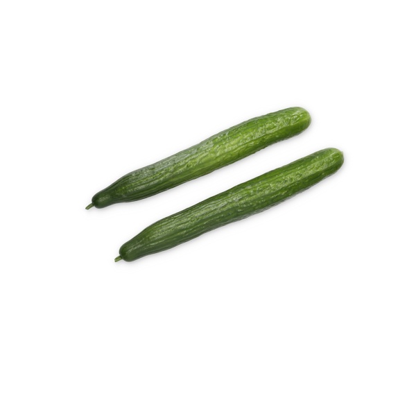 SELECTOR RZ F1 - Cucumber | Rijk Zwaan
