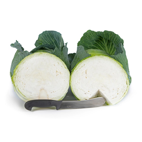 MISSOURIMA RZ F1 | White cabbage | Vegetable seeds | Rijk Zwaan