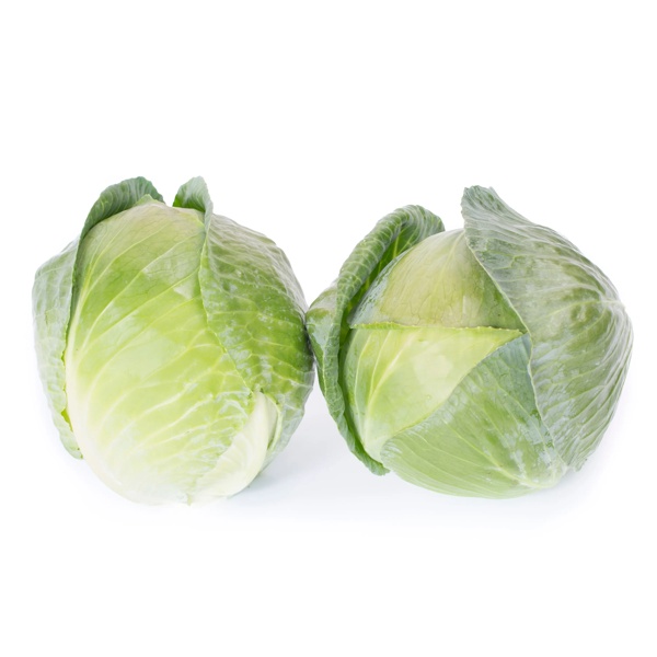 ORIEMA RZ F1 | White cabbage | Vegetable seeds | Rijk Zwaan