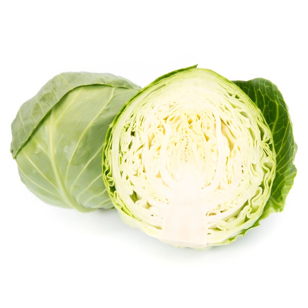 TOUGHMA RZ F1 | White cabbage | Vegetable seeds | Rijk Zwaan